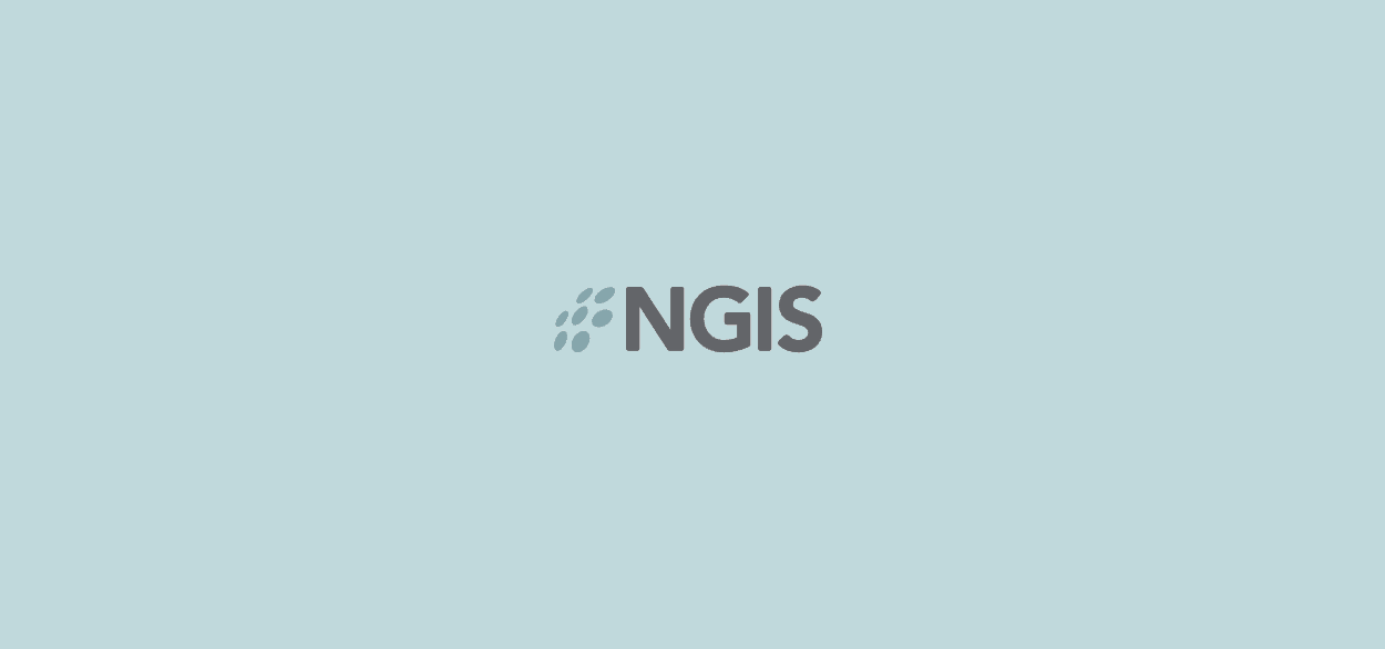 About us - NGIS